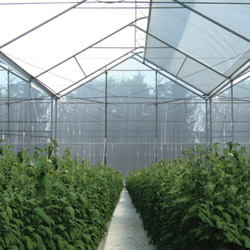 Harnois Greenhouses - Greenhouse Product News
