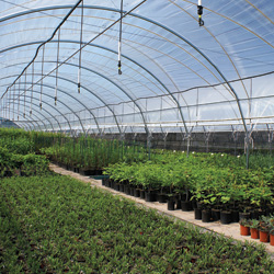 Harnois Greenhouses - Greenhouse Product News