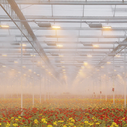 High-pressure fog system - Greenhouse Product News