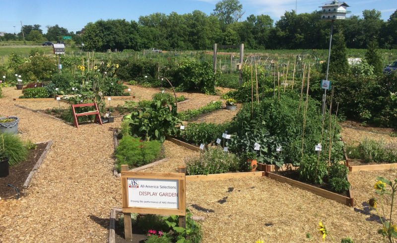 AAS Selects Landscape Design Contest Winners - Greenhouse Product News