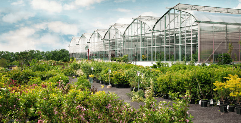 7 key questions to ask before building a greenhouse - Greenhouse ... 7 key questions to ask before building a greenhouse - Greenhouse ...