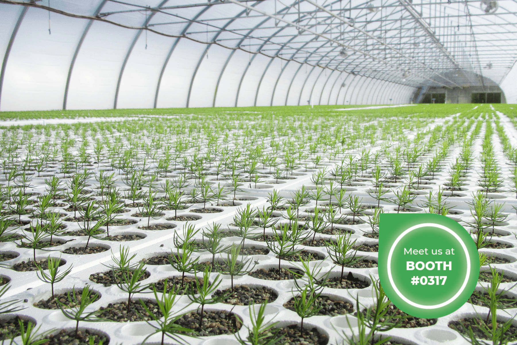 Why choose a greenhouse designed by in-house engineers? - Greenhouse ...