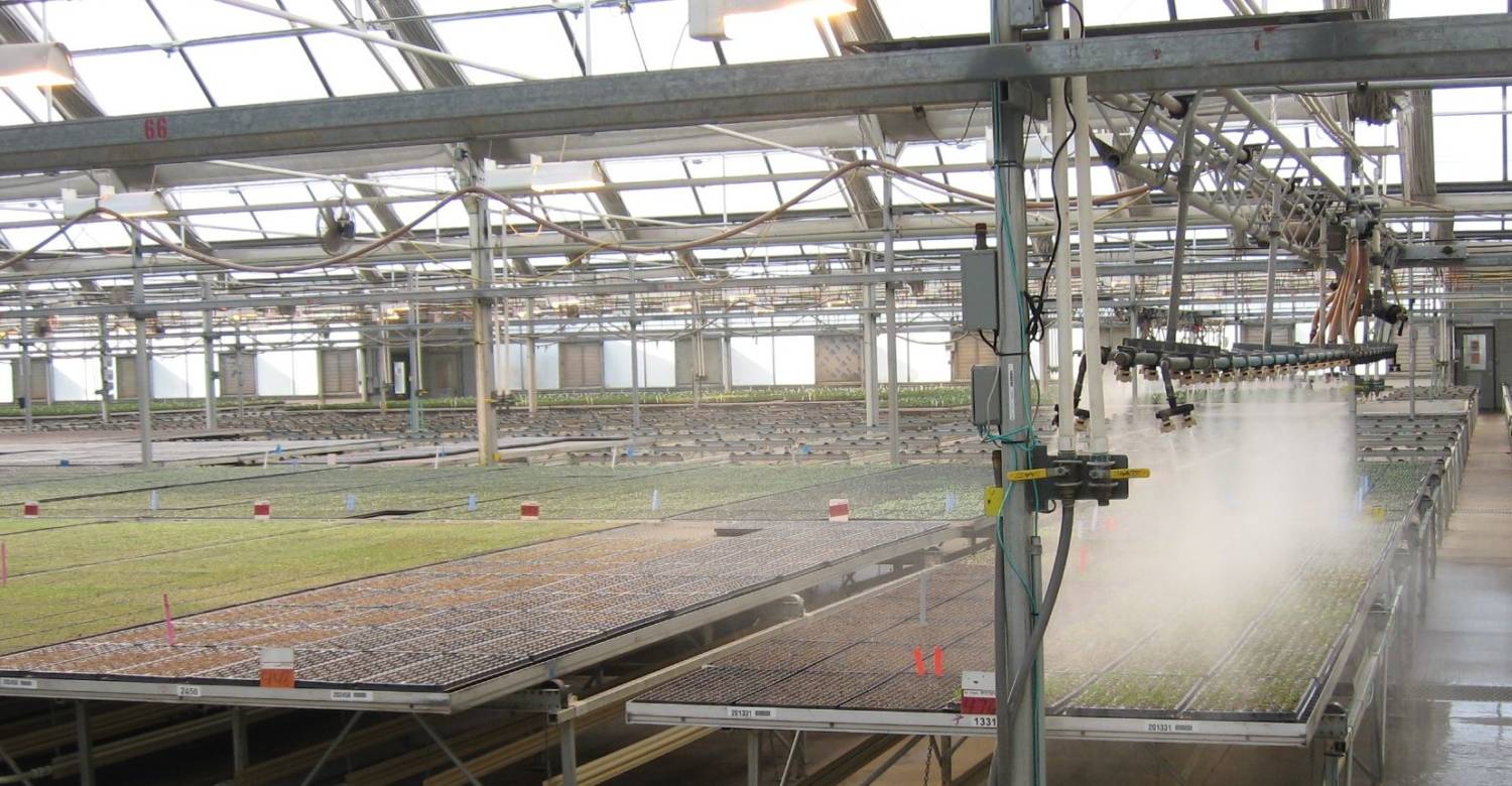 Propagation Pointers - Greenhouse Product News