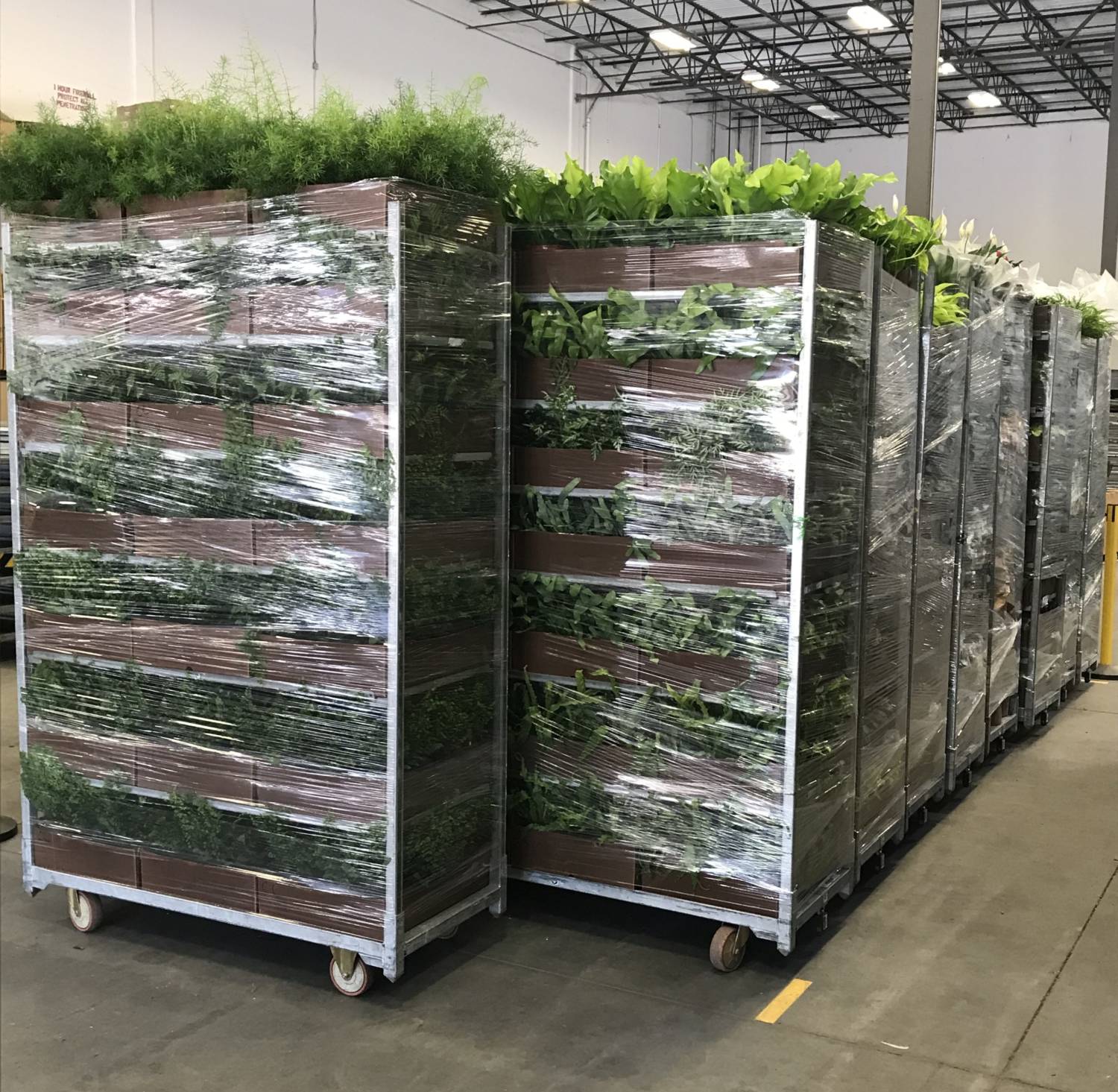 Tackling Transportation Efficiency - Greenhouse Product News