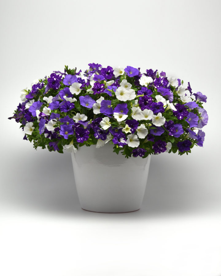 The Show Must Go On - Greenhouse Product News