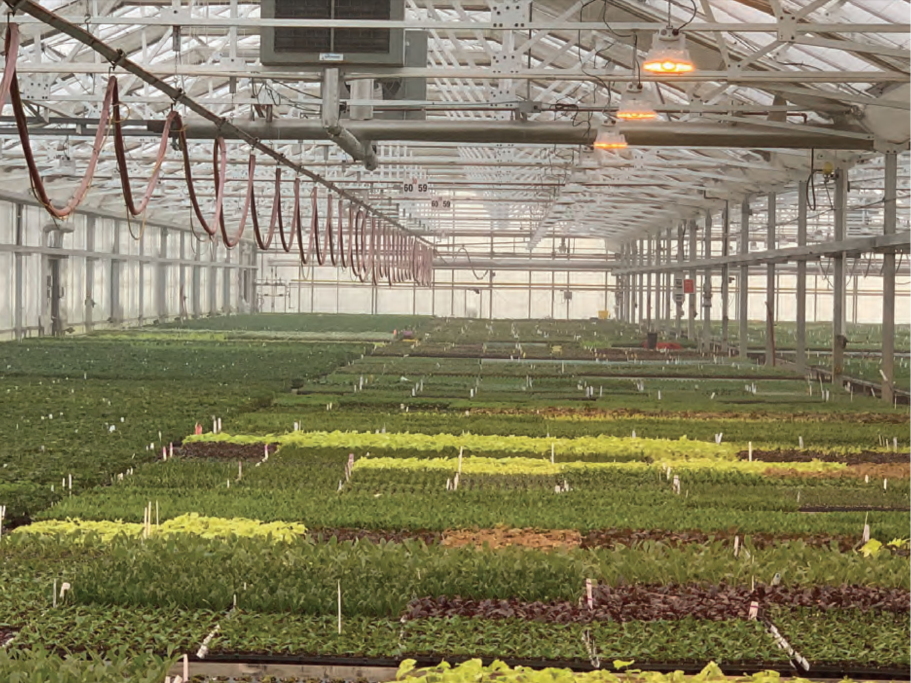 COVER STORY — Finding the Right Balance - Greenhouse Product News