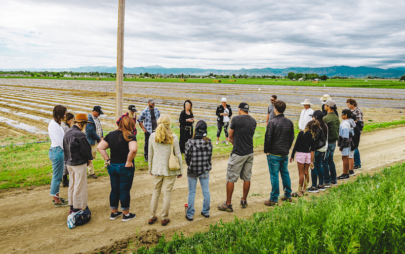 Pioneering Organic Hemp - Greenhouse Product News