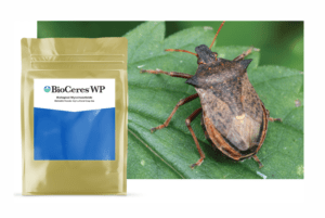 Hemp Added To BioSafe's BioCeres WP Label - Greenhouse Product News