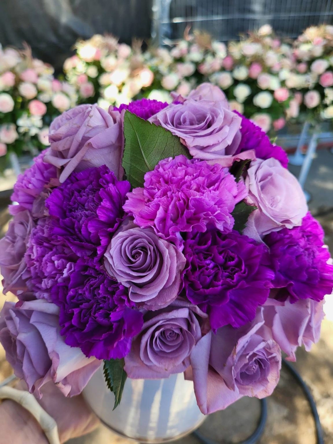 Suntory Flowers Glams Up the GRAMMYs - Greenhouse Product News