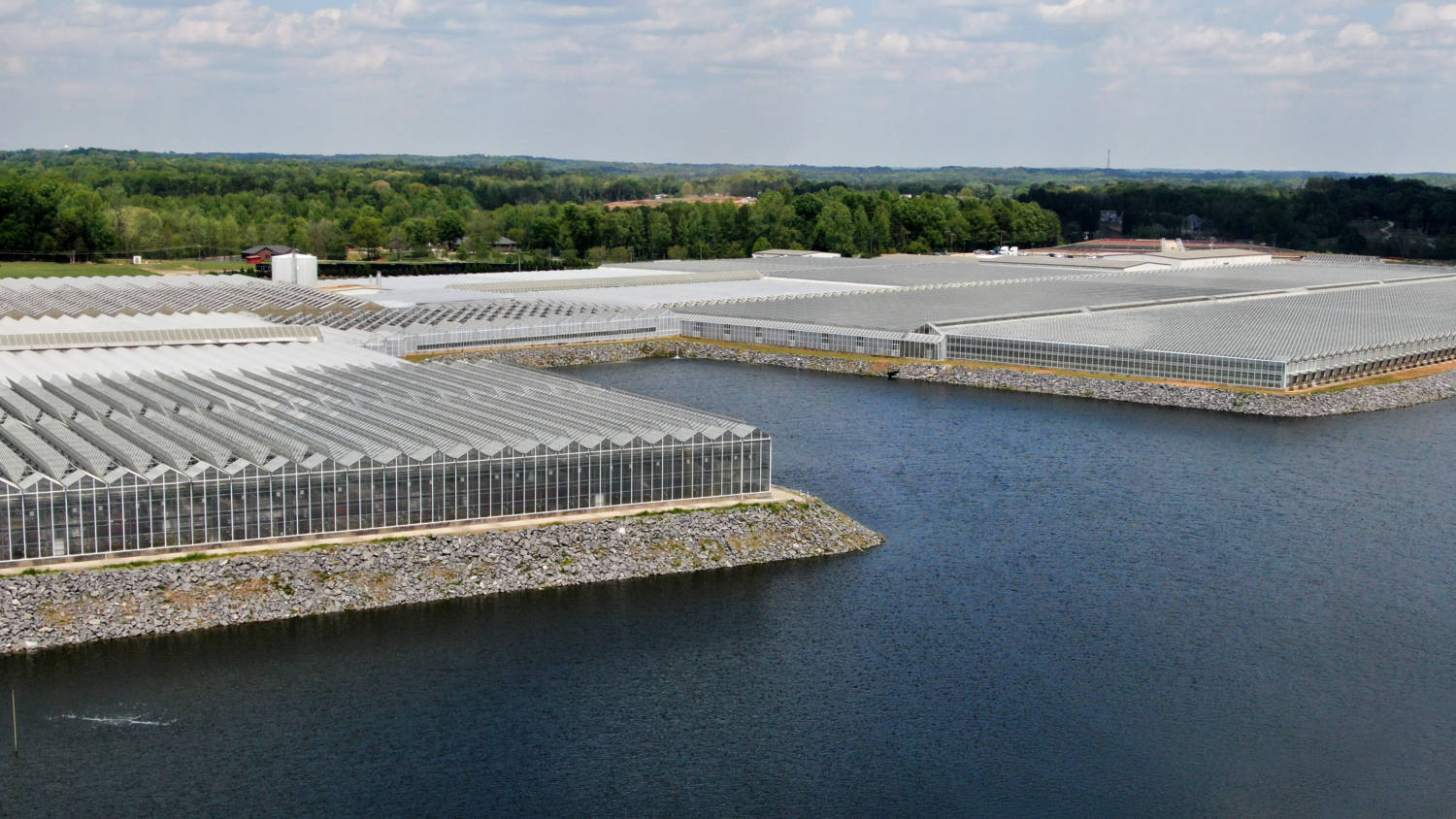 Metrolina Greenhouses Shares Goals for Future at 50th Anniversary ...