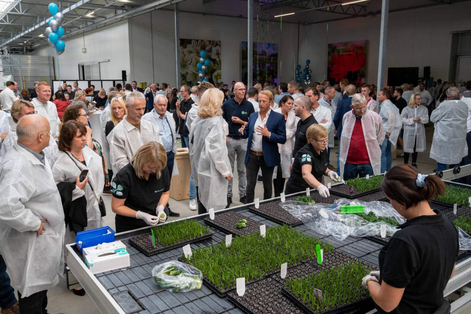 HilverdaFlorist Opens New Future-proof Production Facility - Greenhouse ...