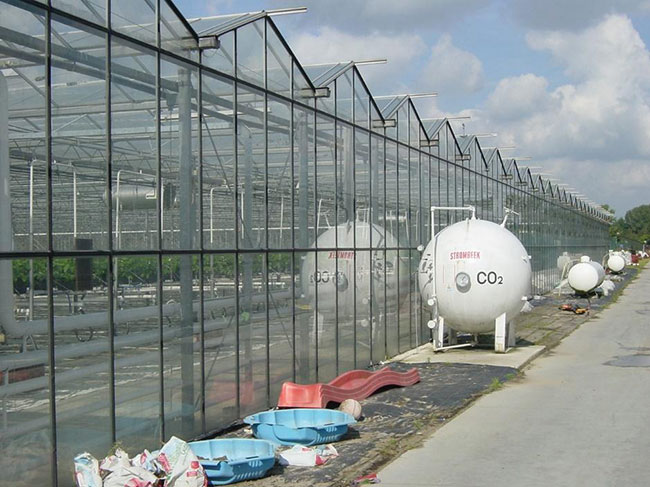 Striving for optimal greenhouse control - Greenhouse Product News