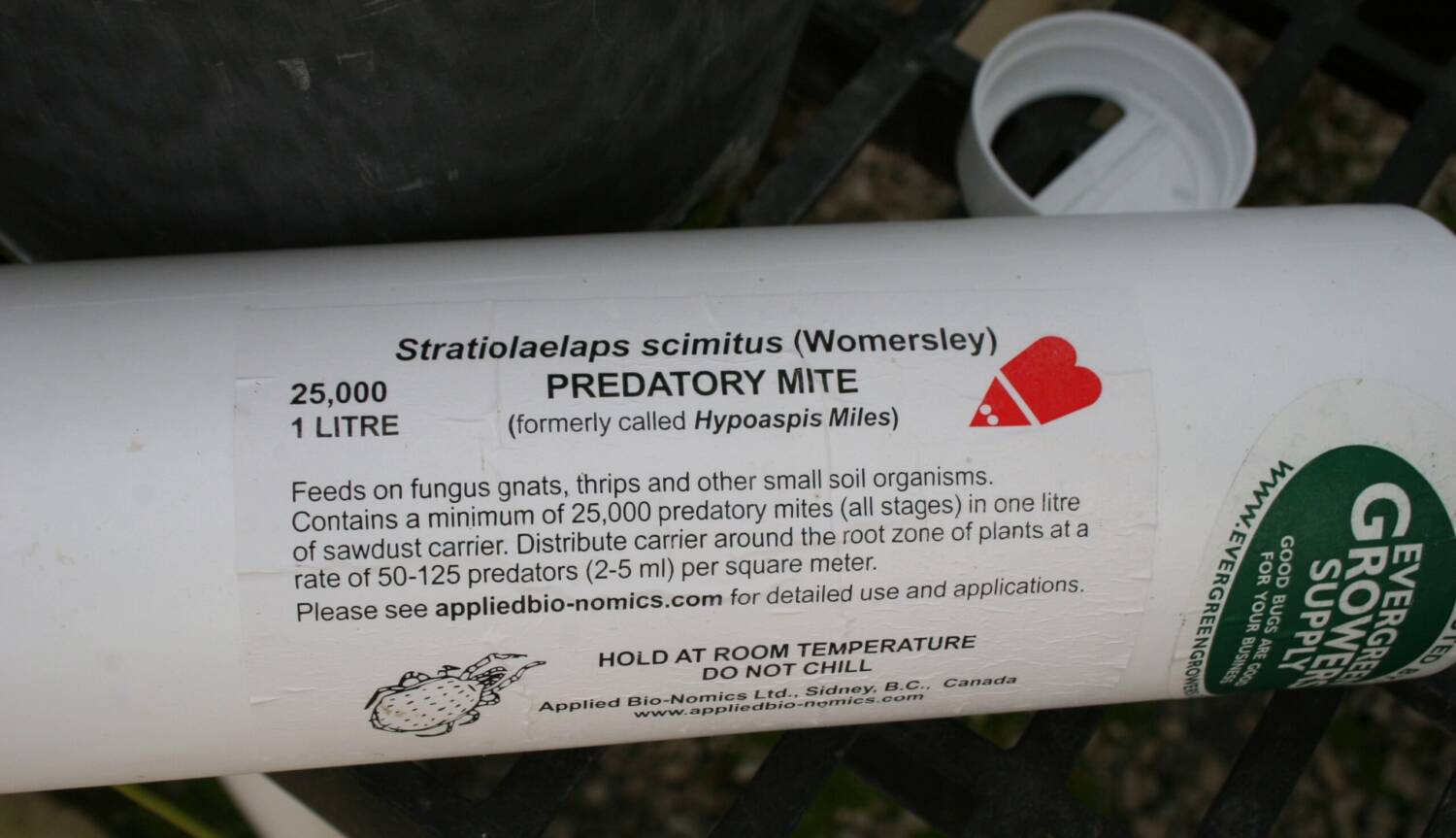 Dr. Bugs: Stratiolaelaps scimitus - Greenhouse Product News