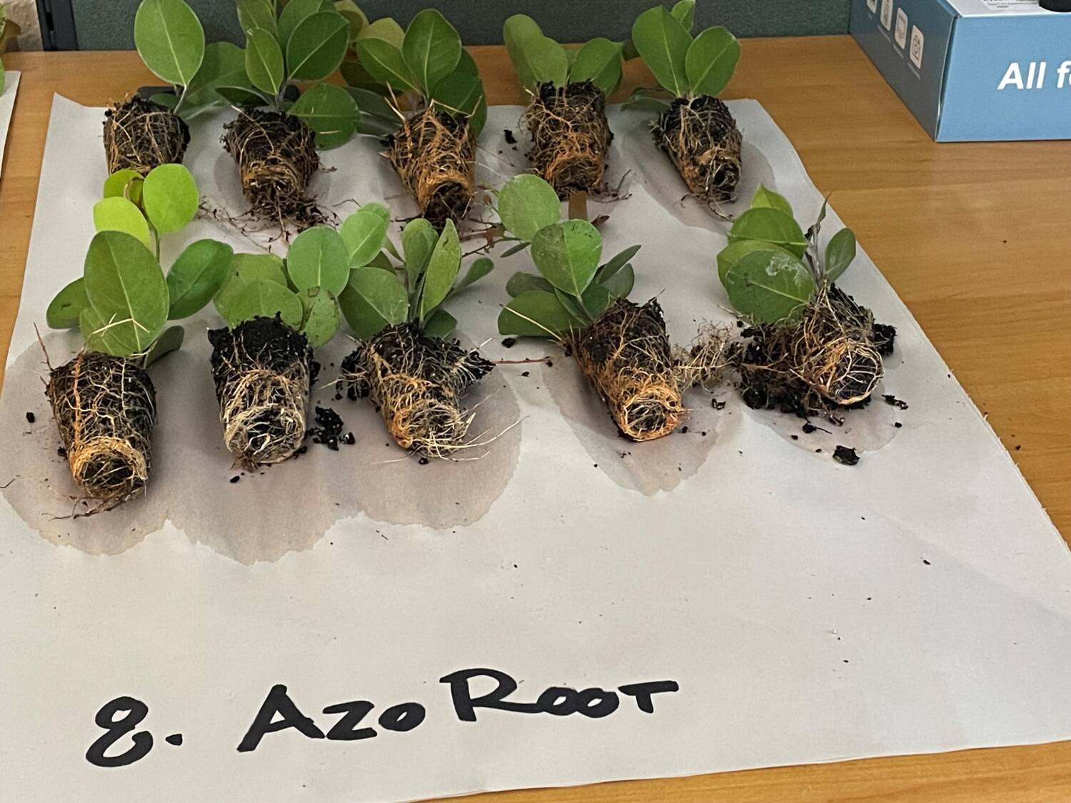 Harrell's partners for better root growth - Greenhouse Product News