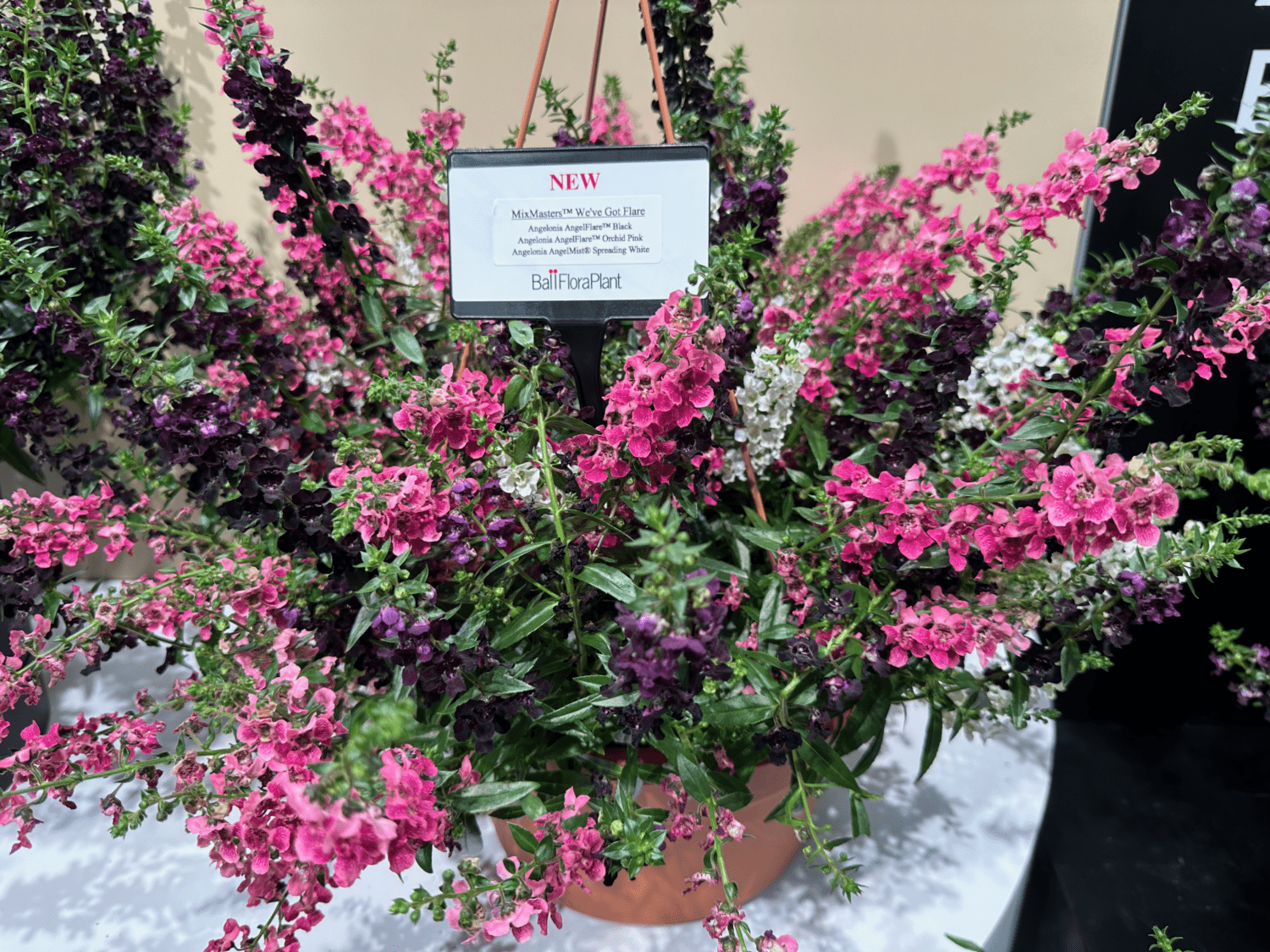 15 Retailers’ Choice Awards named at Cultivate’24 - Greenhouse Product News