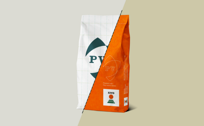 Varieties Archives - Page 8 of 140 - Greenhouse Product News