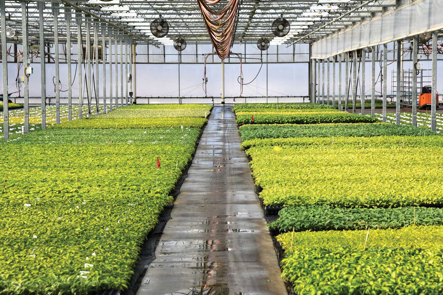 Grower Success Stories: Rooted in legacy at Walters Gardens ...