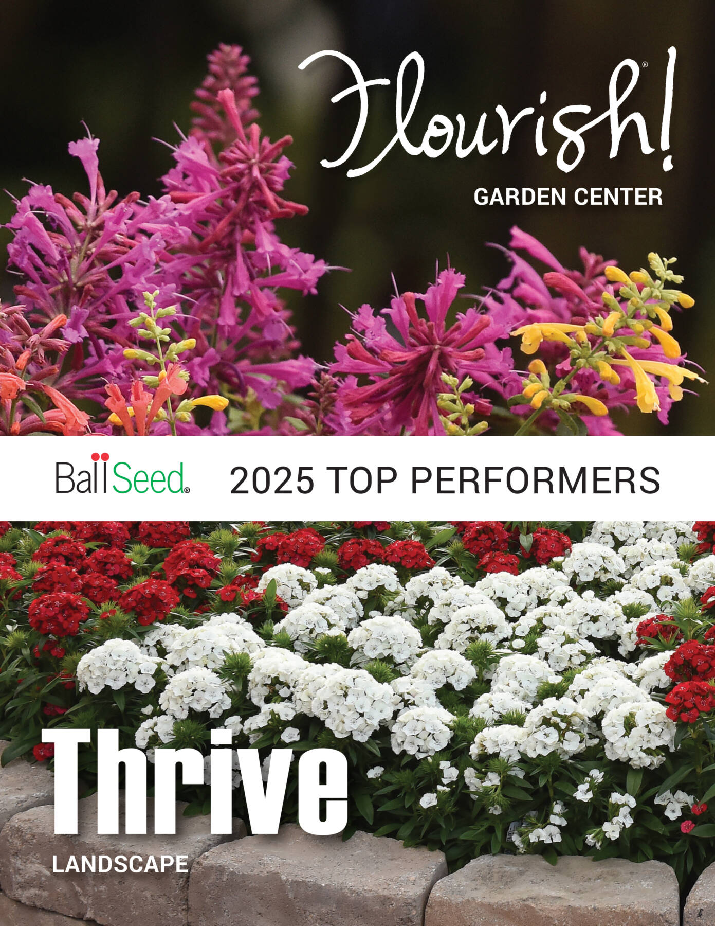 Ball Seed releases 2025 grower guide for success - Greenhouse Product News