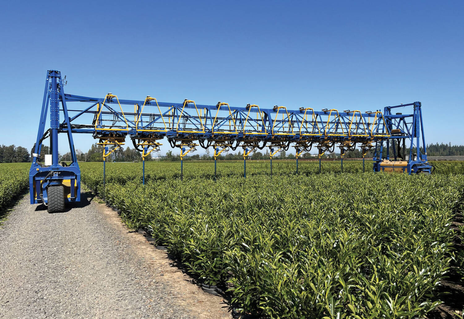 Forty Under 40 Perspectives: Adopting new technology to overcome ...