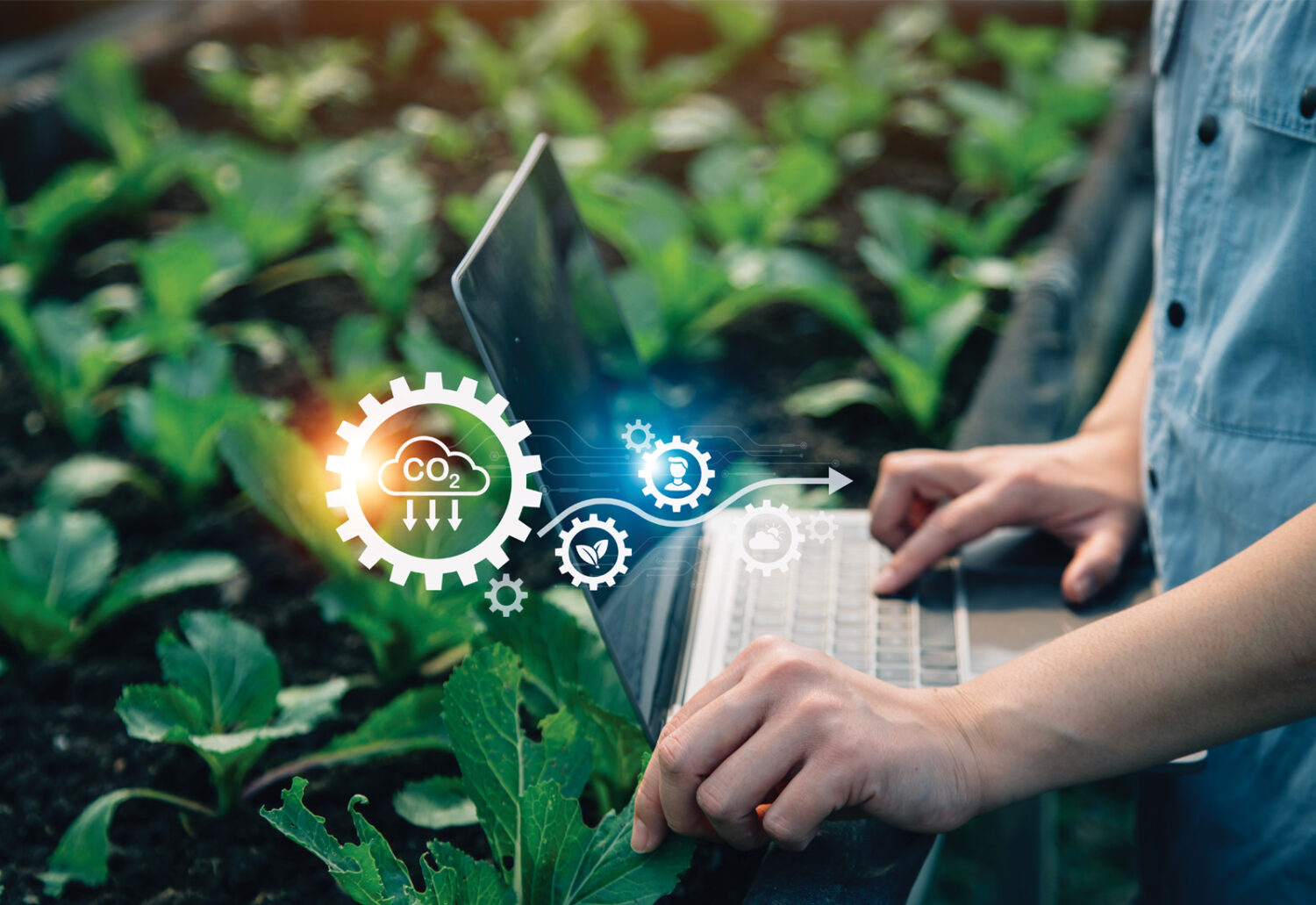 Data logger vs monitoring system for greenhouse control - Greenhouse ...