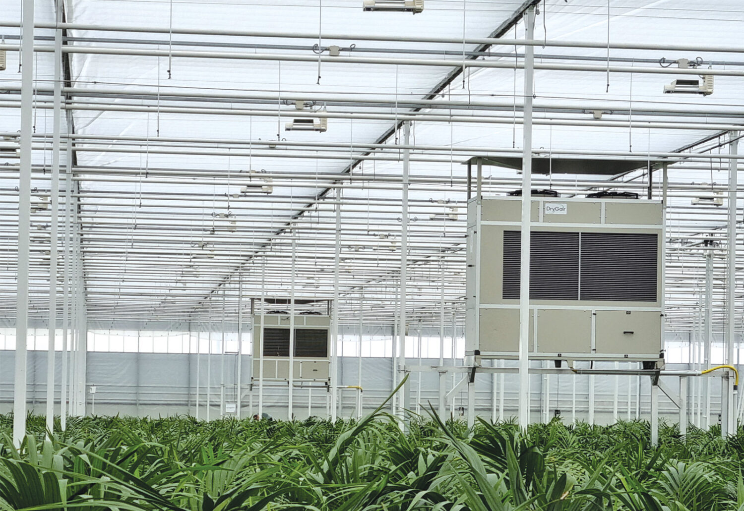 Smart controls for practical greenhouse production - Greenhouse Product ...
