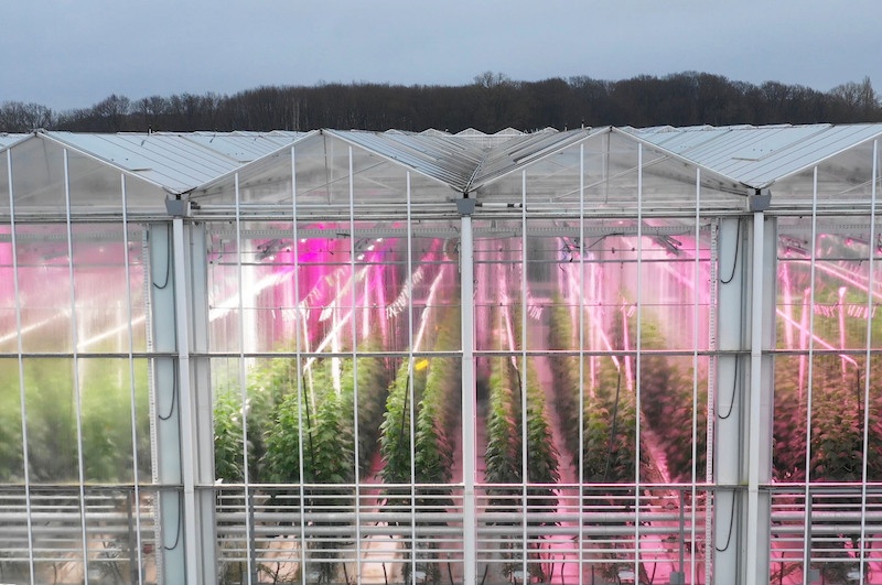 Fluence Expands PhysioSpec Spectra Offering on VYPR Top Light Series ...
