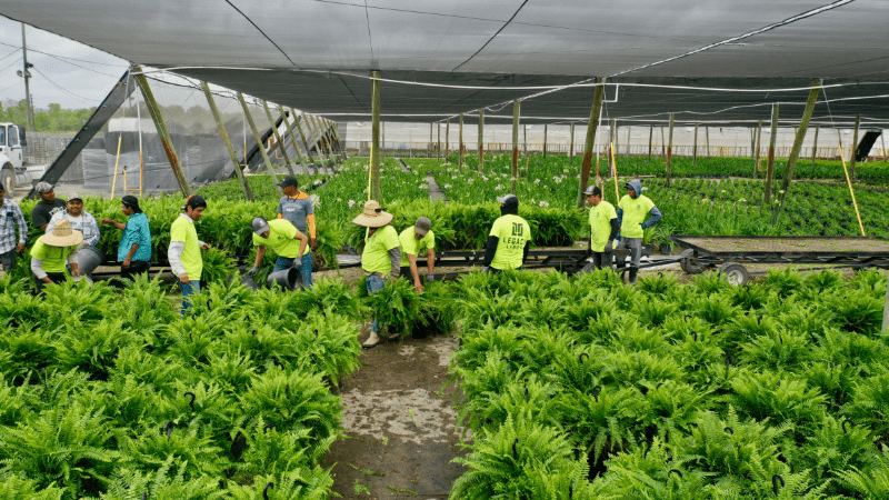 Working with a changing labor force - Greenhouse Product News